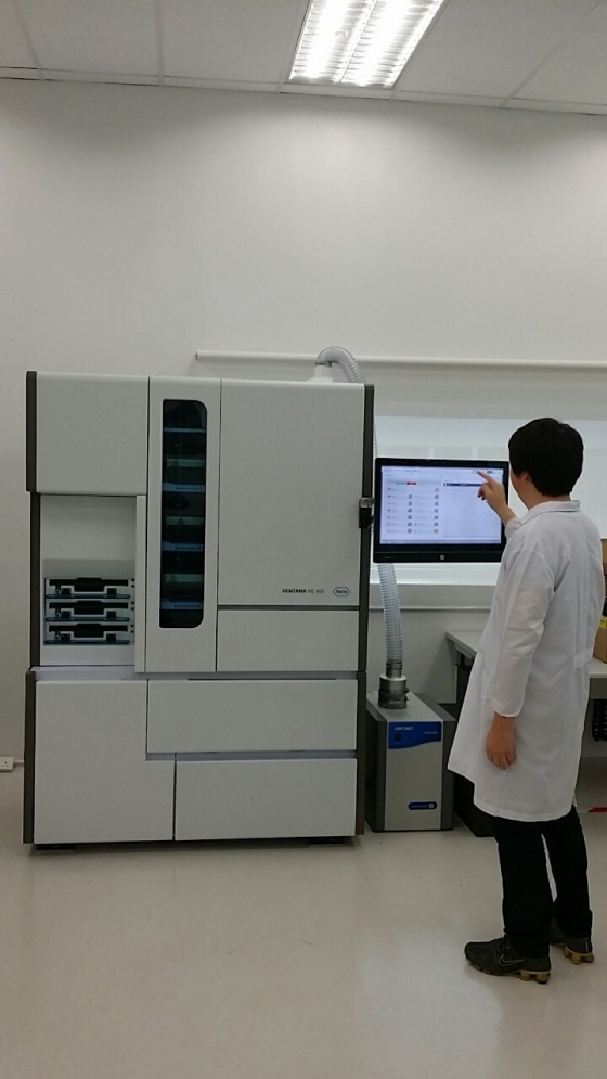 한국로슈진단, 조직병리 개별 염색장비 HE600 출시